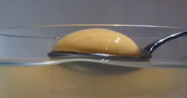 HowToCookThat : Cakes, Dessert & Chocolate | Molecular Gastronomy ...