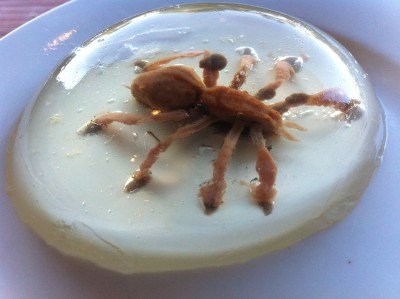 HowToCookThat : Cakes, Dessert & Chocolate | 3D jelly spiders and ...